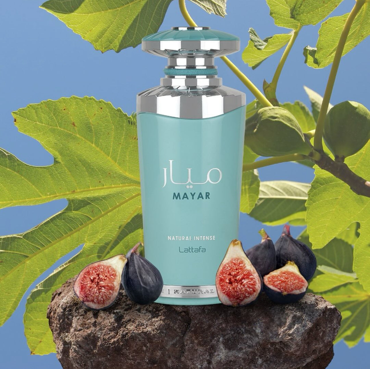 Mayar Natural Intense – ANAU STORE